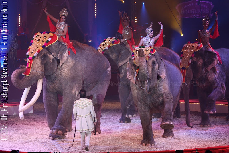 CIRCORAMA PART II: PARIS, LA DERNIERE SCÈNE DE COLONEL JOE.