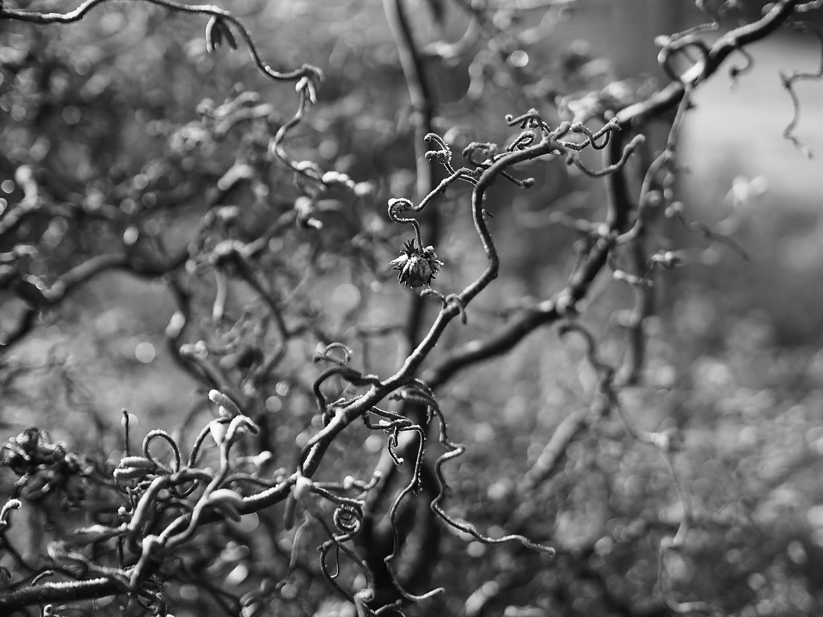 Ways Of Seeing ways-of-seeing