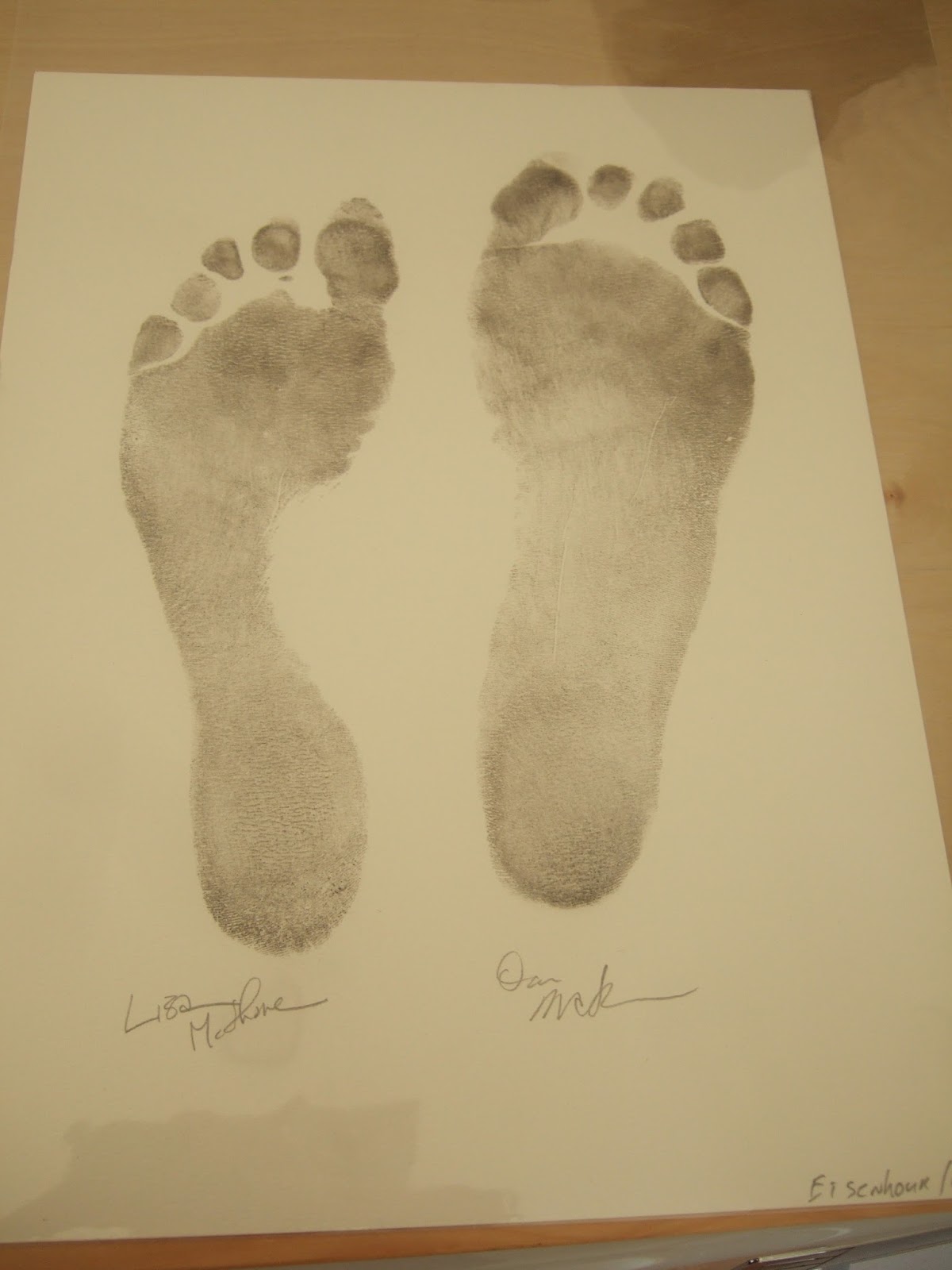 Reading the Washington Landscape: Coal Dust Prints in Edison