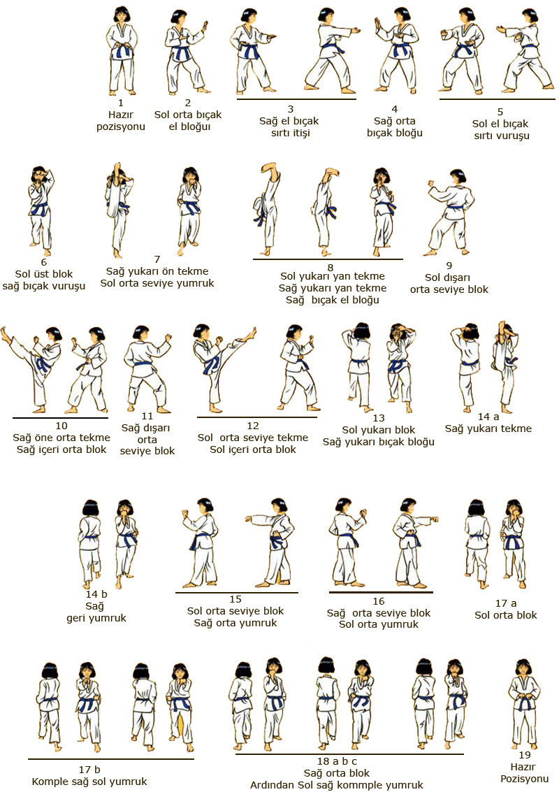 Poomse Teknik4 | Hendek Taekwondo