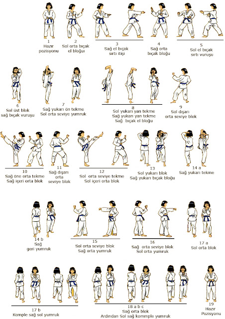 Poomse Teknik4 | Hendek Taekwondo