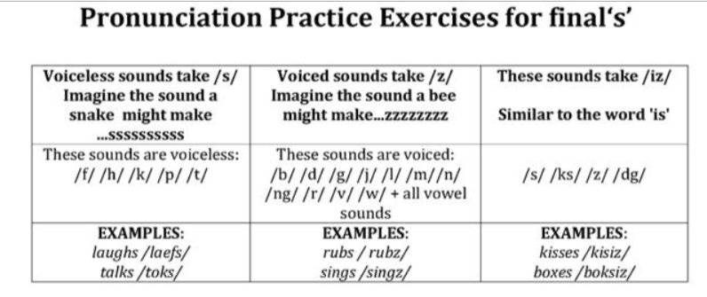 Pronouncing the -s (3rd. Singular Verbs, Plurals, Genitive or Contractions)