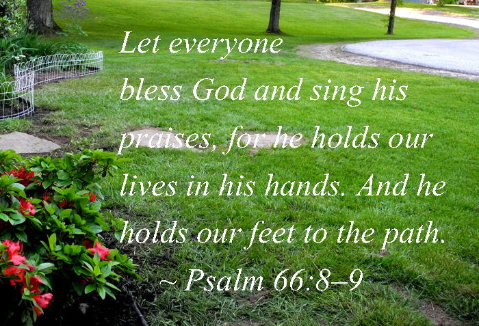 A Haven for Vee: Psalm 66: 8–9