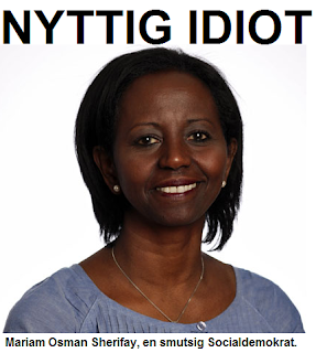 SVERIGES TJÄNSTEMÄN - EUROPAS SMUTS: Mariam Osman Sherifay ...