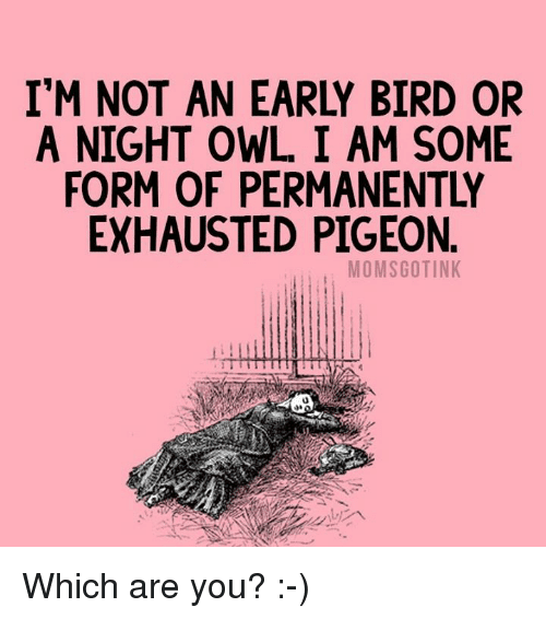 Our Sweeter Approach to Life: Follow Up and Abby's Meme