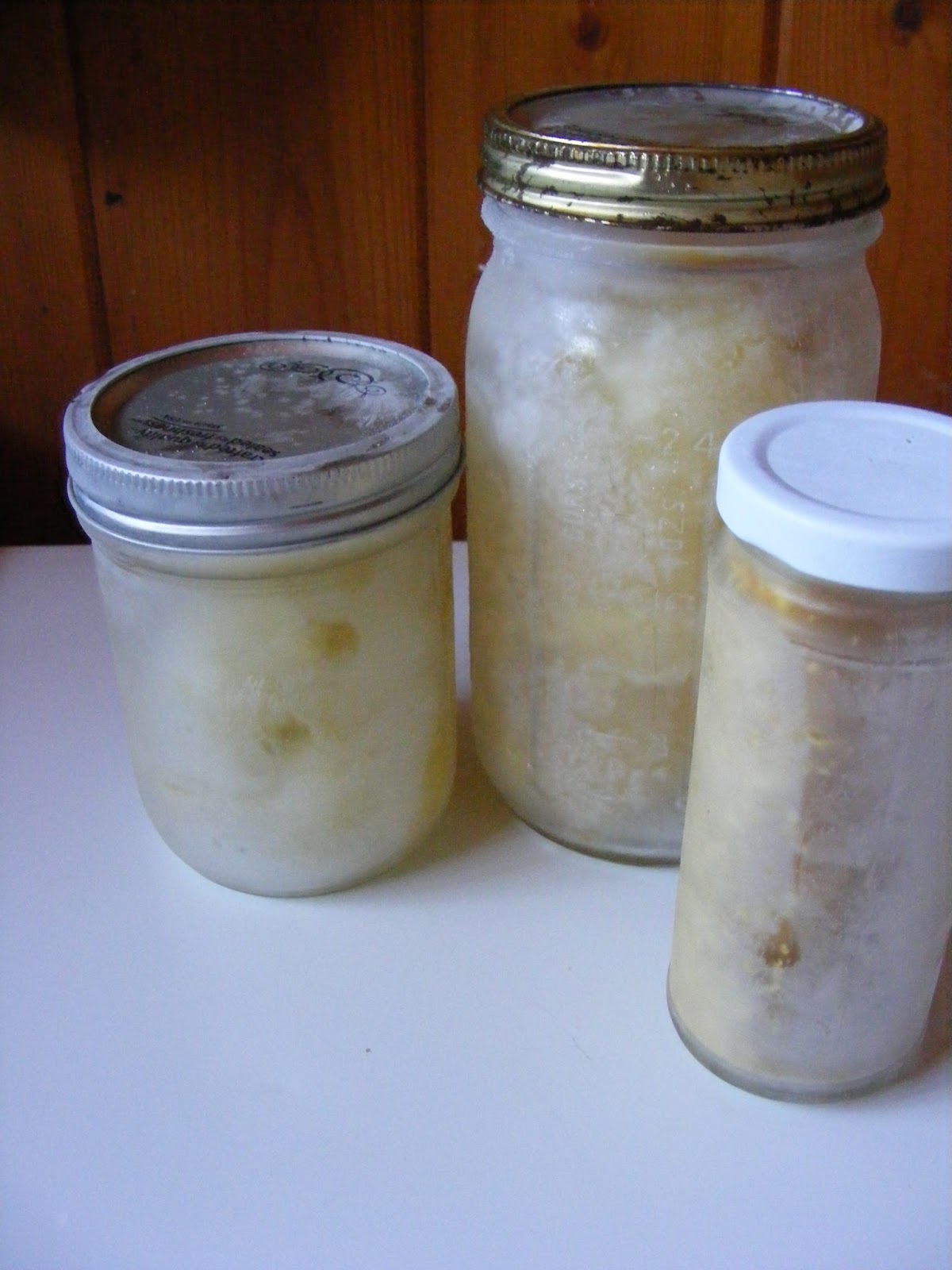 Life From Scratch: Extend The Season: Freezing Citrus Juice and Zest