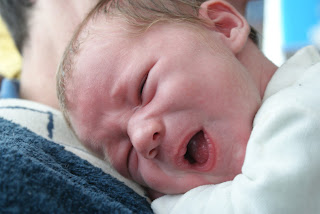 Juda, Janoa en Jedidja : Gekke bekken trekken