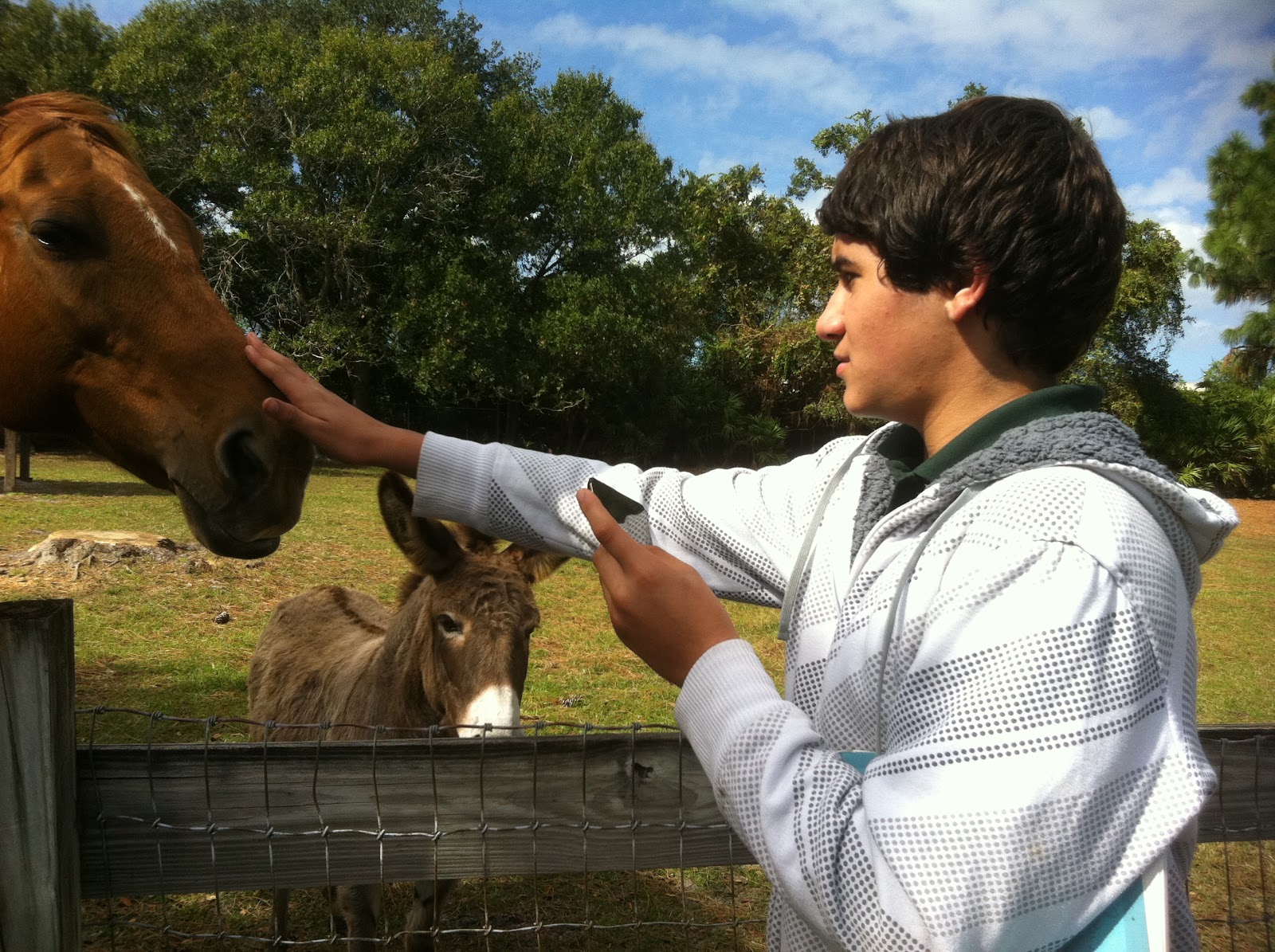 Walker Middle Magnet School Art: SPCA field trip