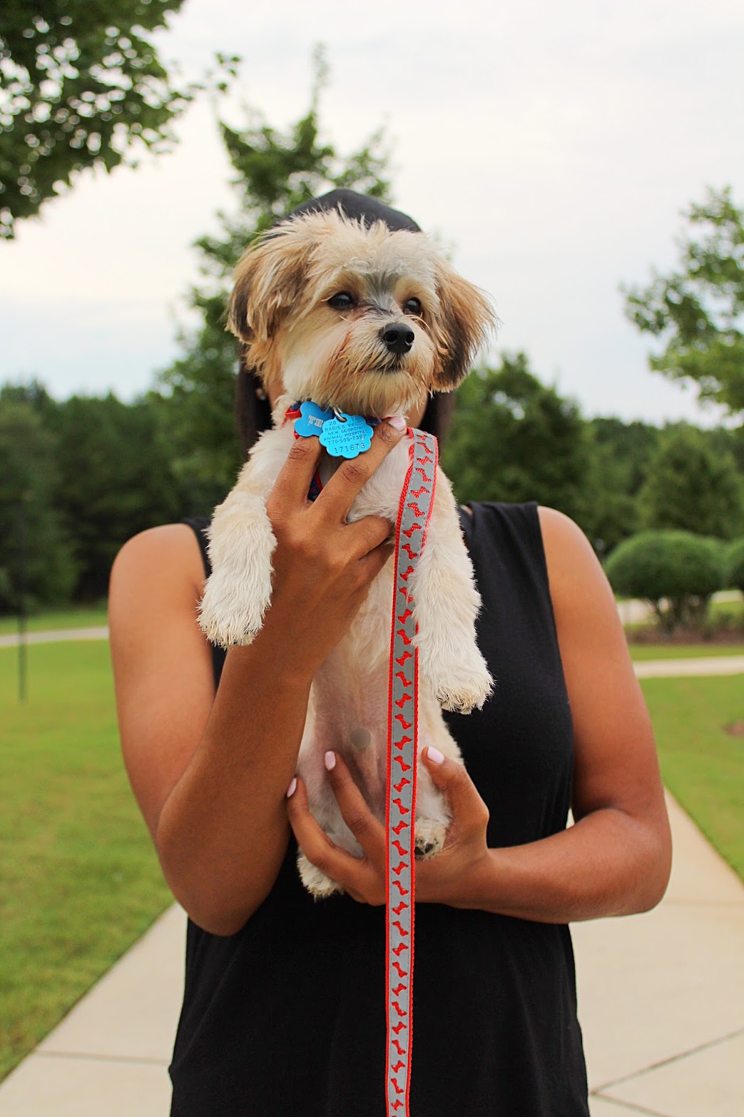 Cute & Fun Dog Items | The Savvy Singer