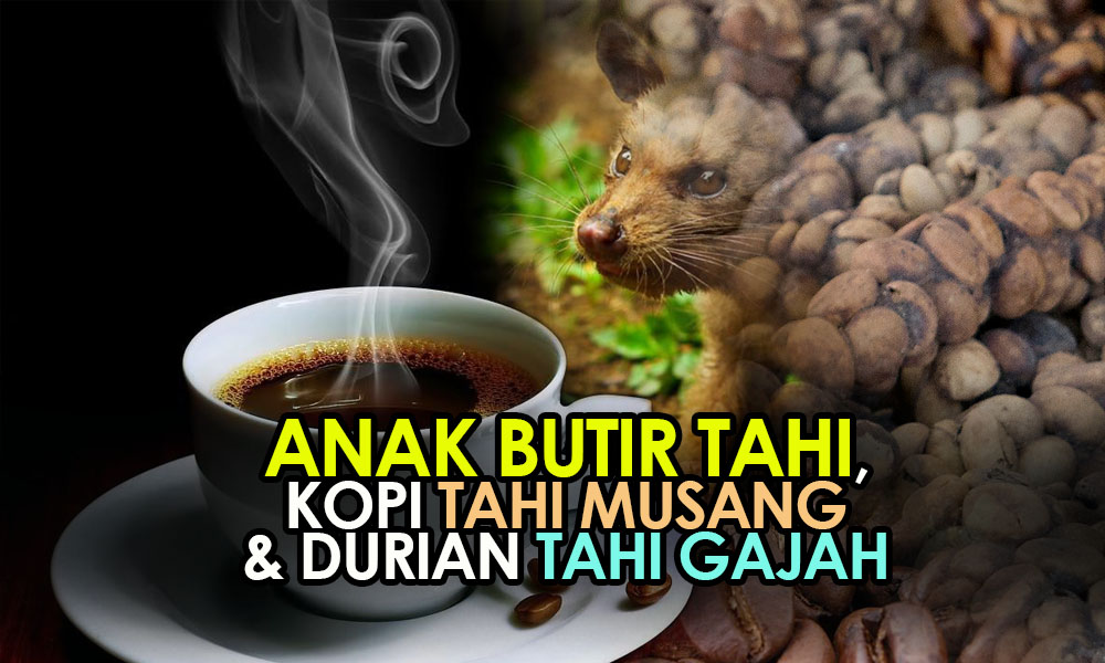 Anak Butir Tahi, Kopi Tahi Musang & Durian Tahi Gajah - Hassan Omar
