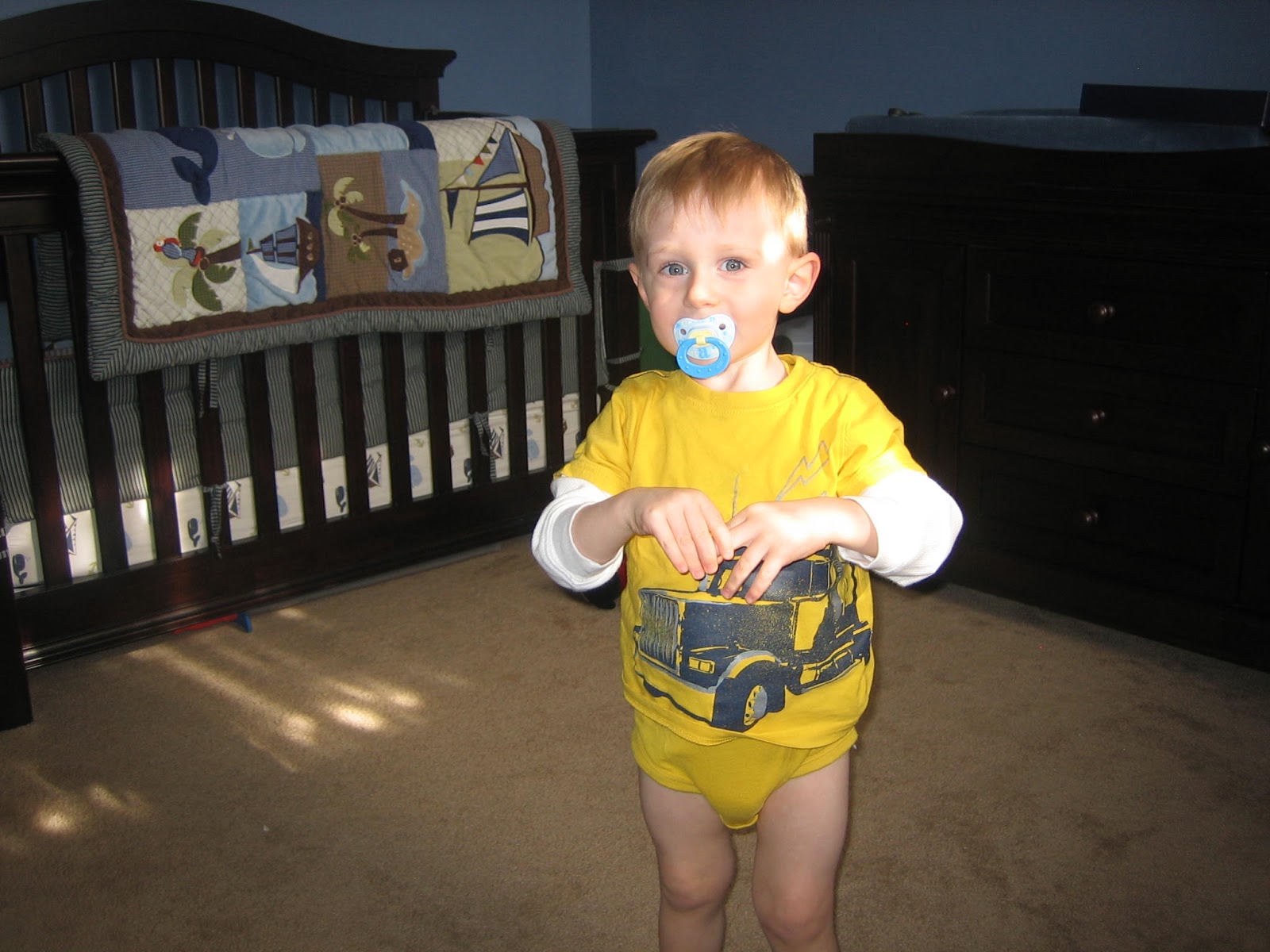 The Diary of a Blue Rose Wife: waiting for baby... the nursery