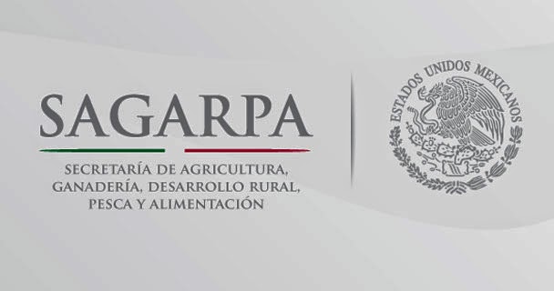 SAGARPA: Crea SAGARPA página electrónica de recepción de propuestas ...