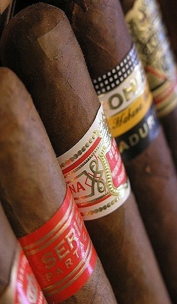 The Scribbling Wren: Poo Cakes for parties...