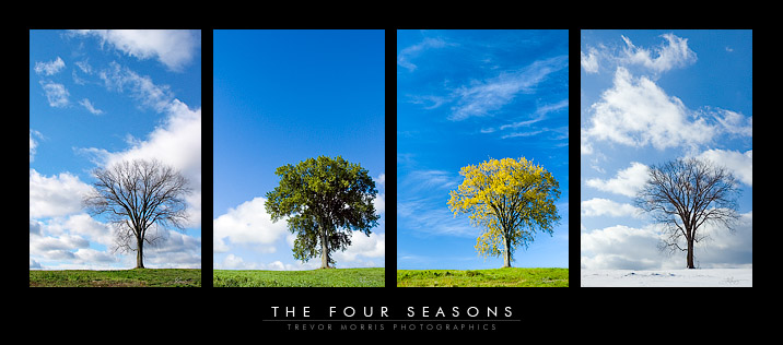4th Grade English: The four seasons