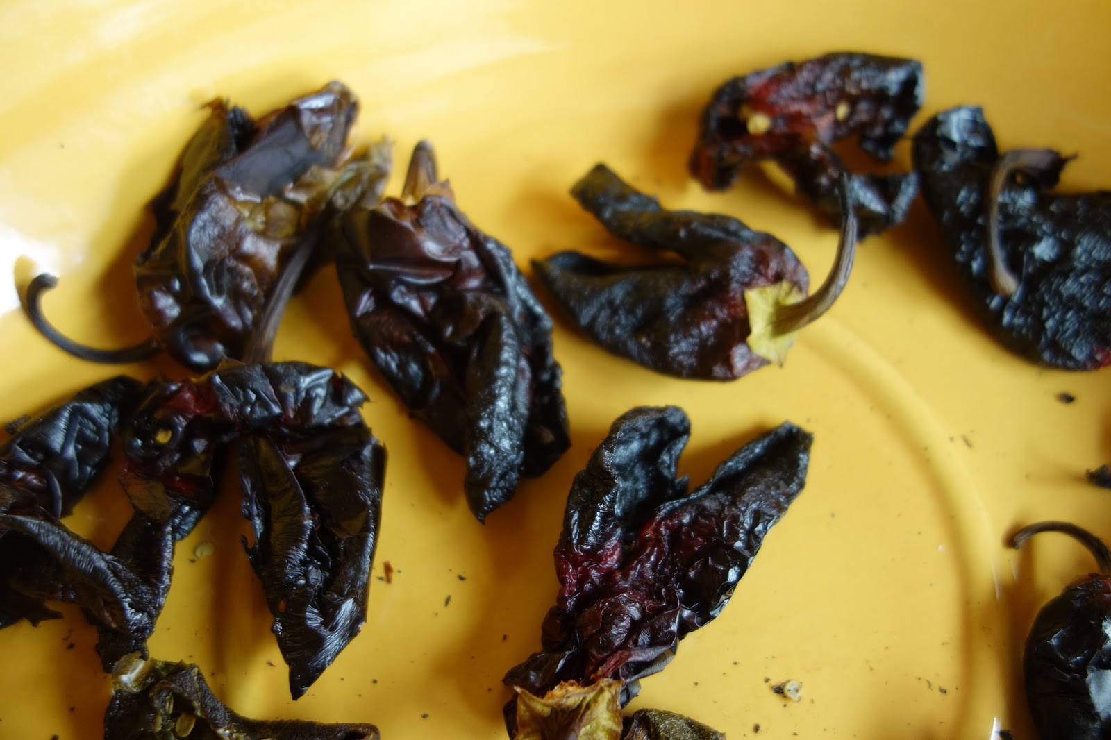 Cold Hands Warm Earth: Smoking and Drying Peppers (Poblano/Ancho ...