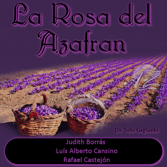 A TODA ZARZUELA: LA ROSA DEL AZAFRAN- VIDEO 2004 - (Judith Borrás ...