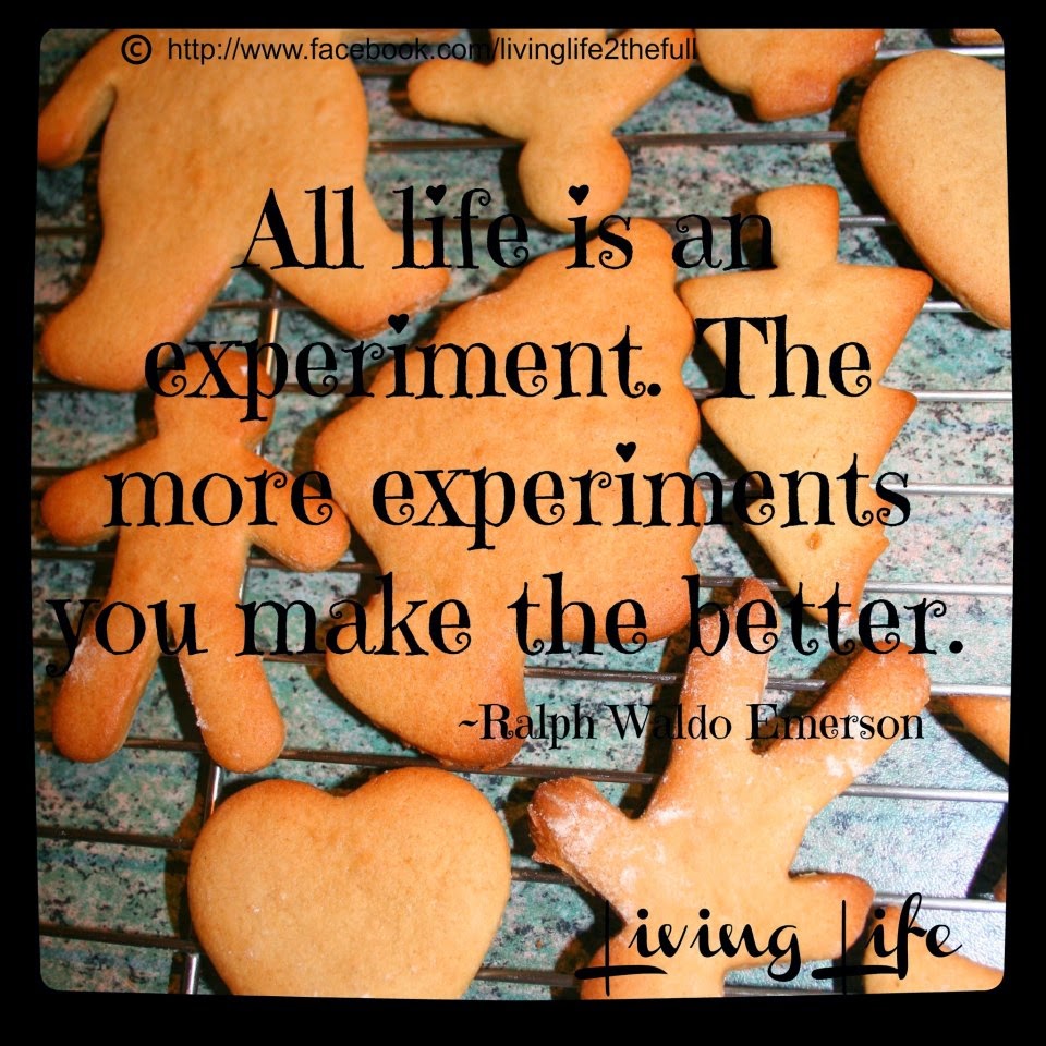 ALL LIFE IS AN EXPERIMENT. THE MORE EXPERIMENTS YOU MAKE THE BETTER ...
