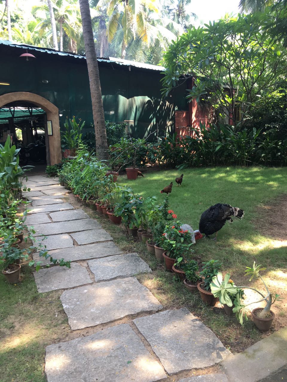 Everything In Nature: The Farm, Chennai