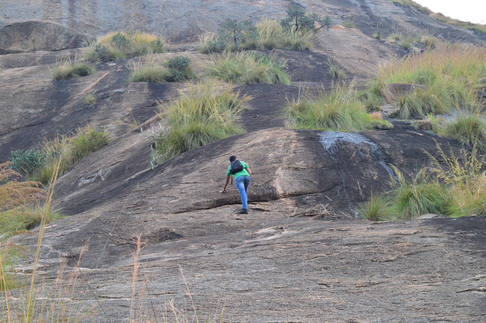 The Travel Reminiscenes: Narayanagiri Hill trekking Alias Jaalamangala ...