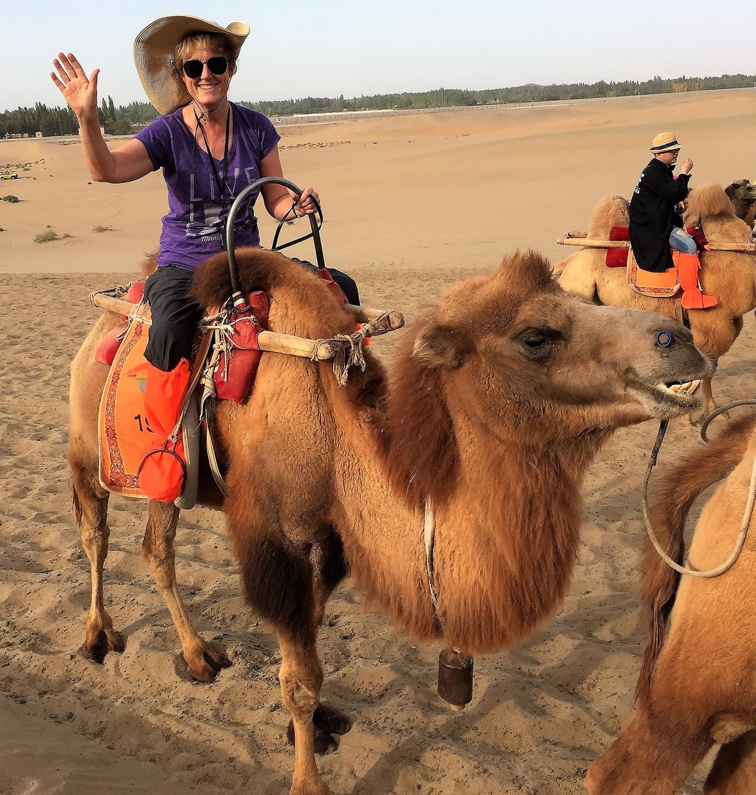 Souvenir Chronicles: DUNHUANG, CHINA: RIDING CAMELS IN THE GOBI DESERT