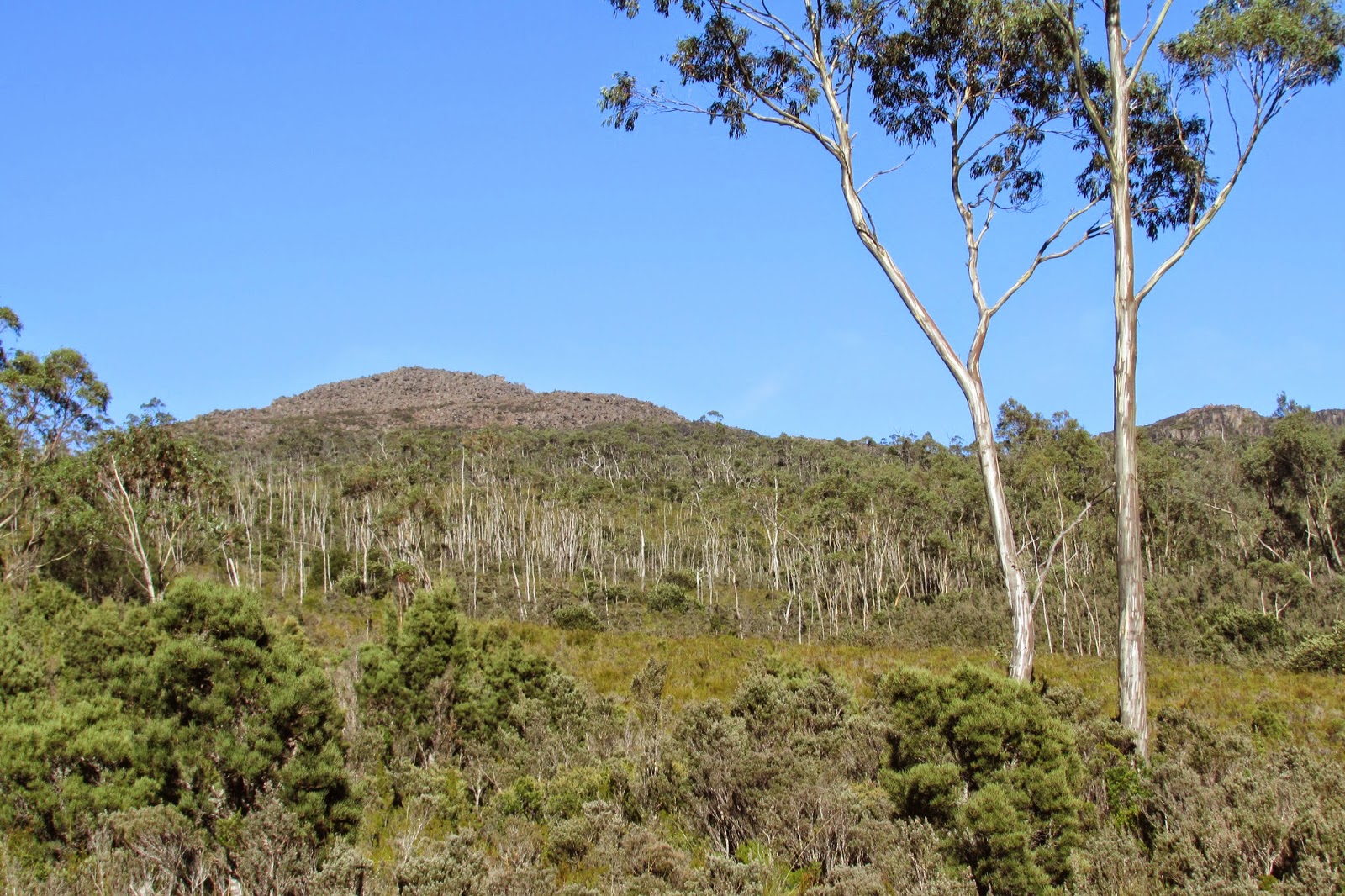 Lake Belcher | Hiking South East Tasmania