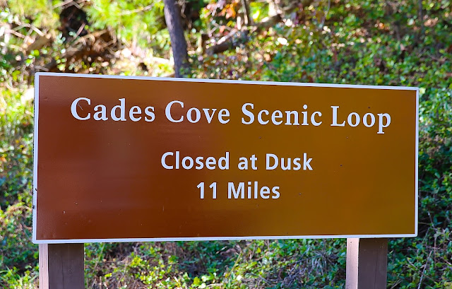 Sweet Southern Days: Parson Branch Road In The Great Smoky Mountains ...