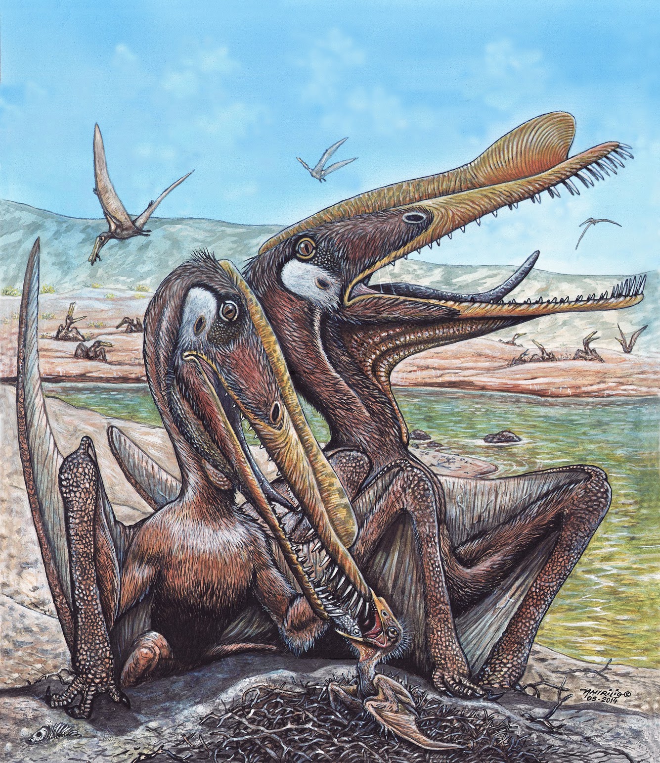 Species New to Science: [Paleontology • 2014] Hamipterus tianshanensis ...