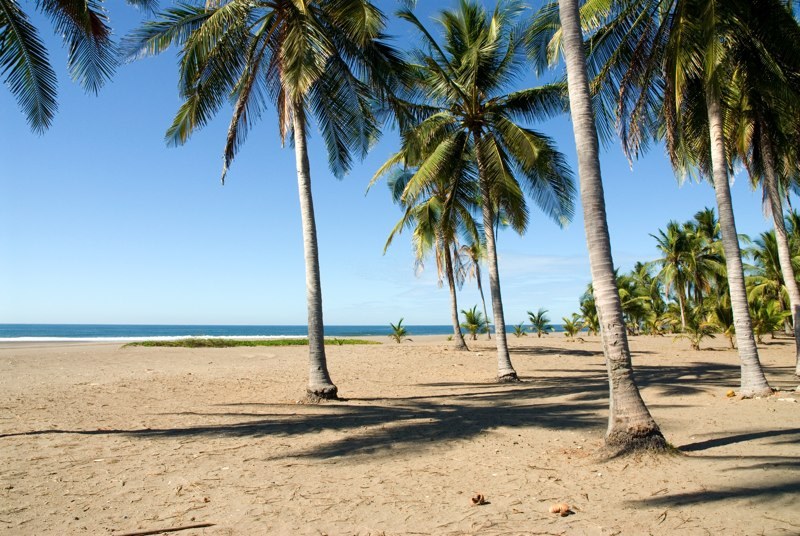 Bikes for the World: Spotlight on El Zapote: The Future