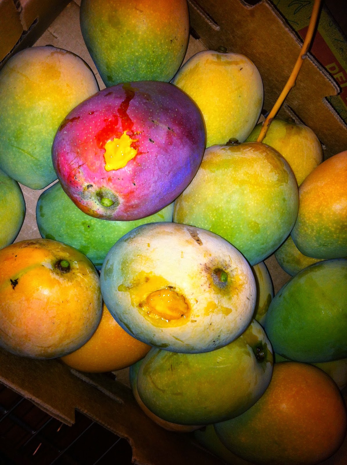 The Mango Report from Truly Tropical: Ripe Fruit