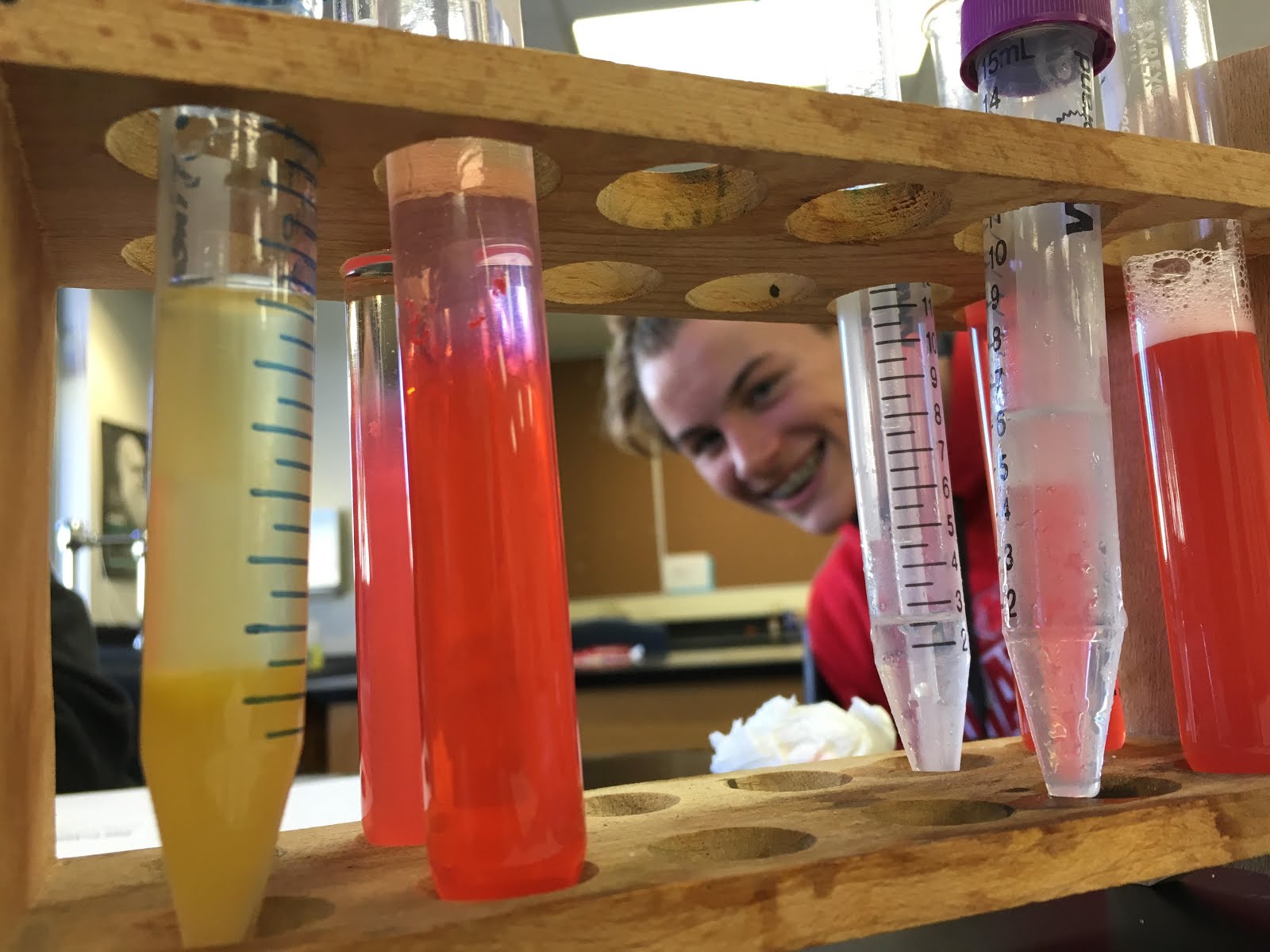 Sophie's Biology Blog: DNA Extraction Lab