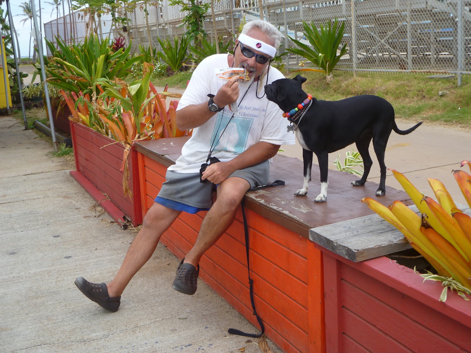 dakinetalk...Live from Kaua'i,Hawai'i: "The element of Kimo Therapy ...