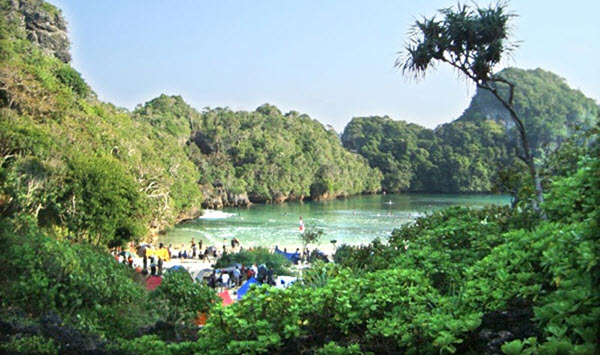 Wisata Alam Segara Anakan Cilacap