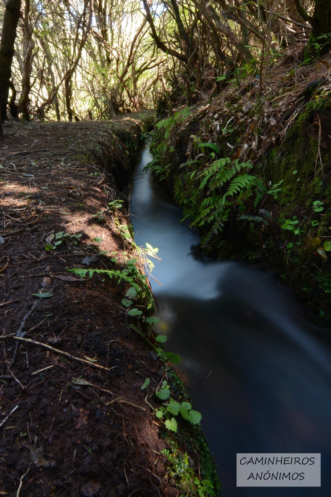 Caminheiros Anónimos Levadas da Madeira : Levada Grande (Achadas da Cruz)