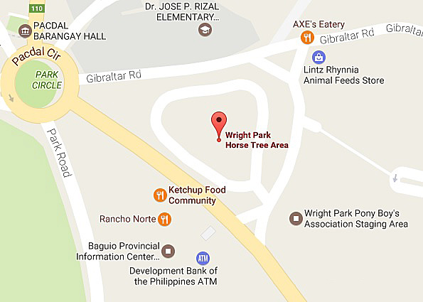 The Simplest Ways to Make the Best of Baguio City Horses | AvianQuests