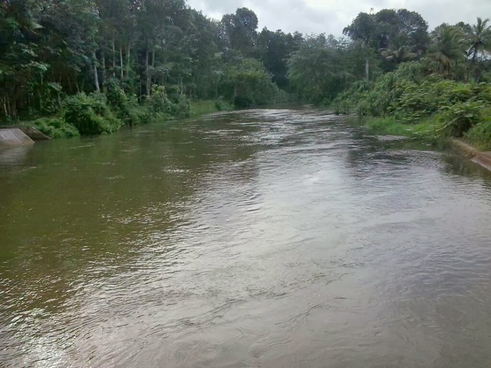 pavumba പാവുമ്പ: Pavumba Image Gallery