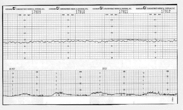 Little Creatures: February 2013