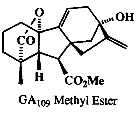 PEMBUATAN METIL ESTER