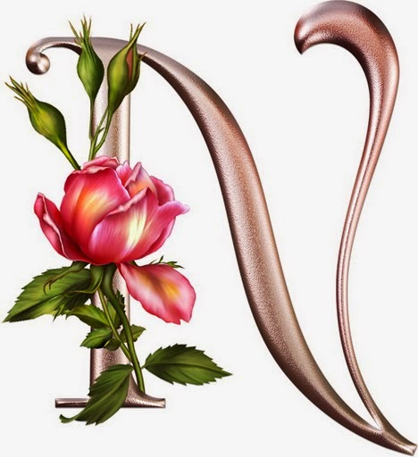 Alfabeto rosas lindo! Abc letras cor de rosa com flores com rosas ...