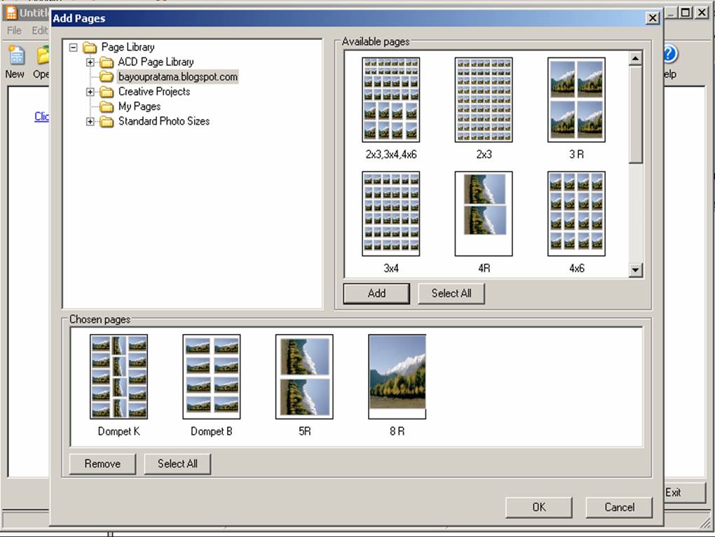 Cara Print Foto 2x3, 3x4, 4x6 dengan ACD See ~ CARA TIPS INFO