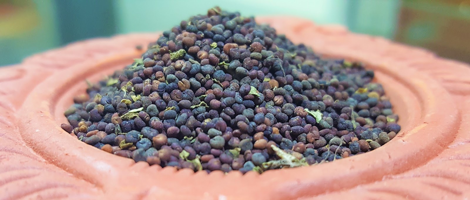 Rushina Munshaw Ghildiyal: Jakhiya - An essential spice in Garhwali ...