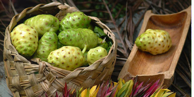 Noni fruit