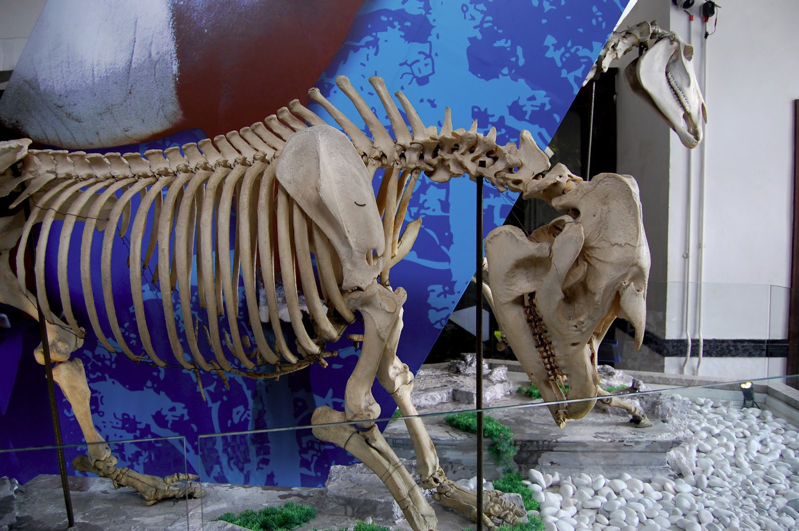 Taiping Photo Gallery: Perak Museum Taiping