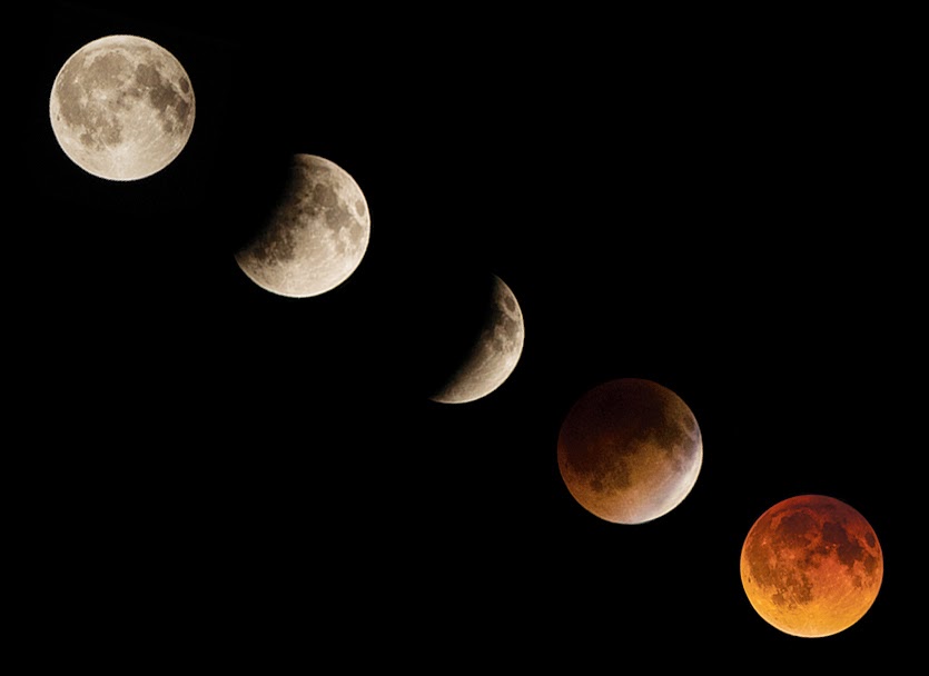 Bulan Besar Berdarah vs Candat Sotong