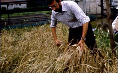 The Archaeobotanist: In Memoriam, Gordon Hillman (1943-2018)