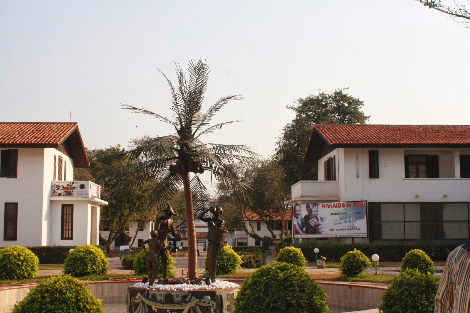 Life Of An African Immigrant: Have you ever wondered how a university ...