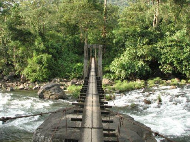 CHIMMINI WILDLIFE SANCTUARY | SOUTH INDIA TOURISM | ECOTOURISM IN ...