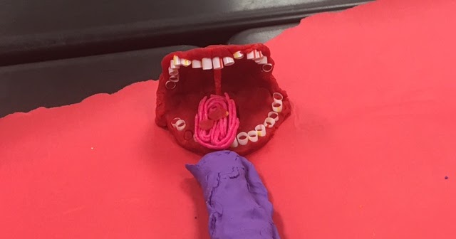 collidingwithscience: Lets Take A Journey Through the Digestive System ...