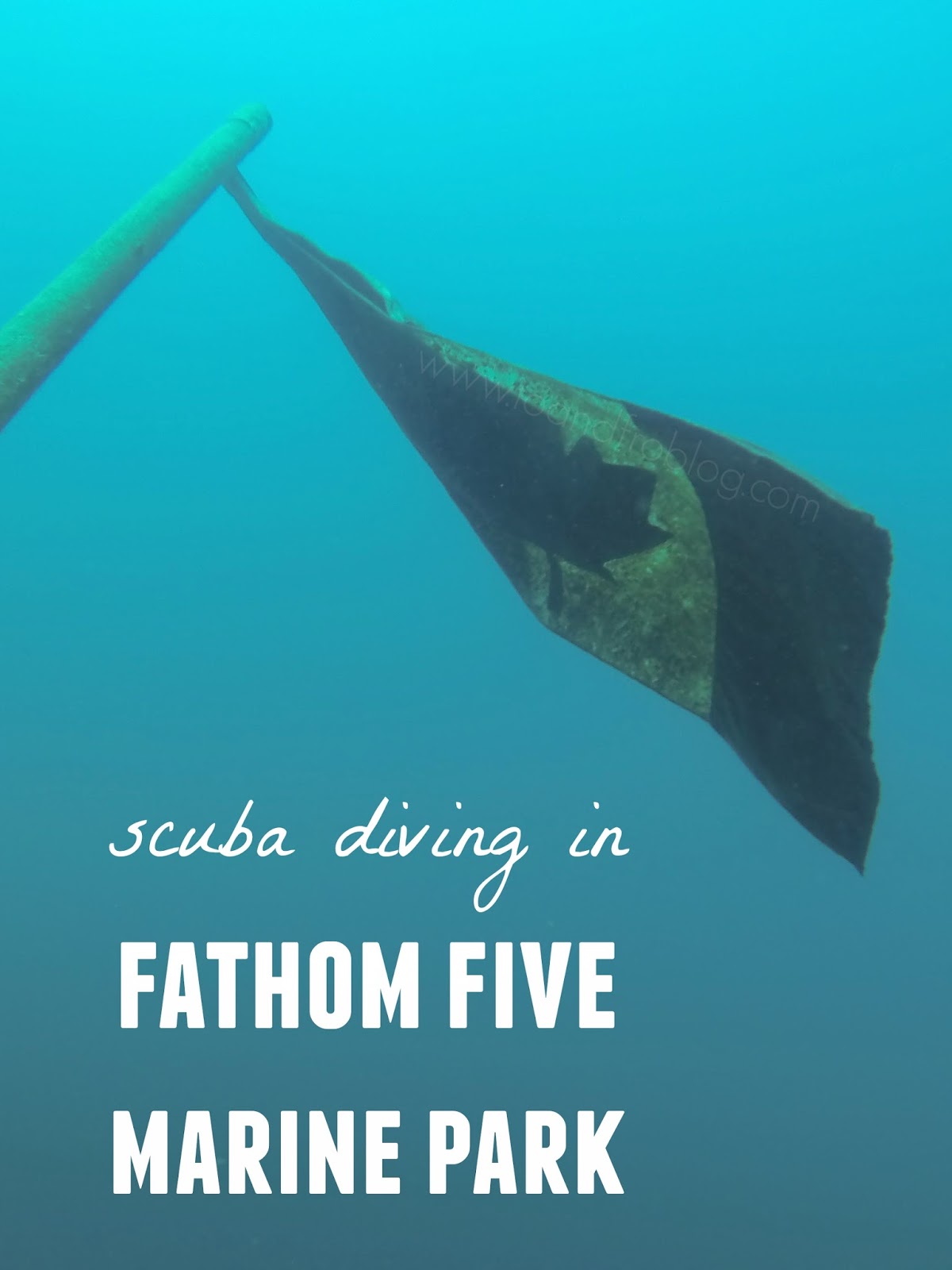 Plunging into the Deep of Fathom Five National Marine Park | To & Fro