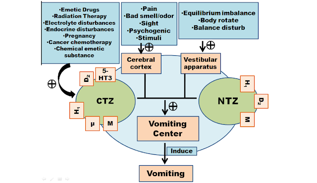 PhaRma Study World: Emetic and its drug