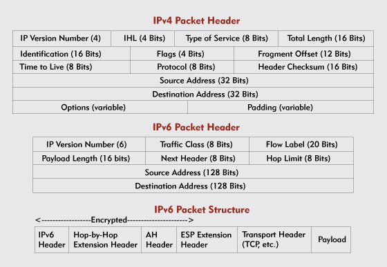 Networking And Scripting : Packet Formats to Remember
